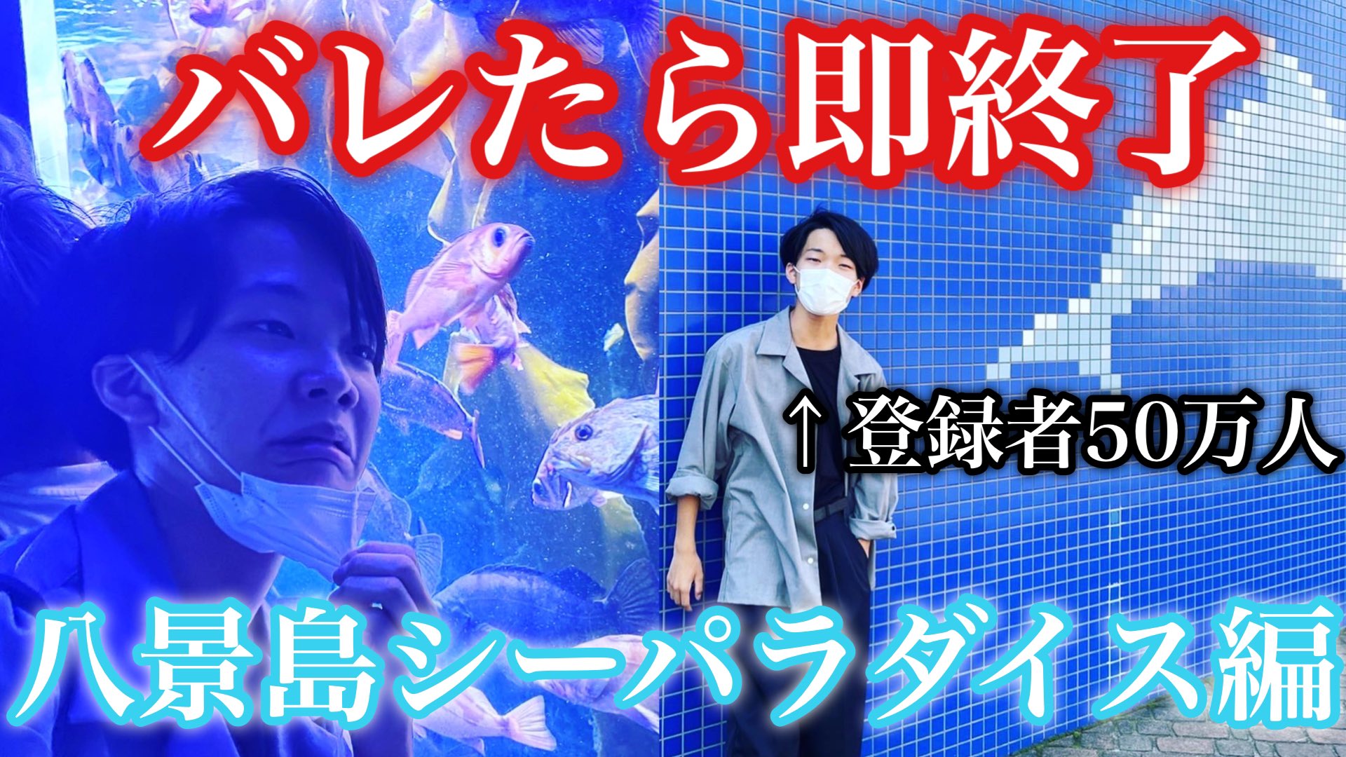 えるにーにょ🕶 On Twitter 21時からプレミア公開です〜！ 2日目はバレたら即終了のシーパラ編です🐬 【水族館】八景島シーパラ