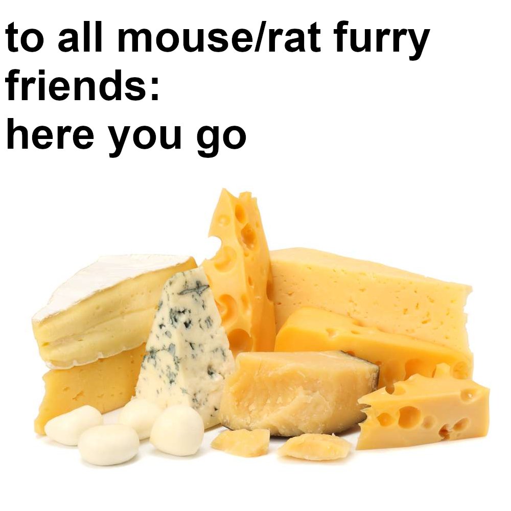 Jhoss The Mouse 🎶🐁 on Twitter: "🐭🐁🧀 https://t.co/igLi8YdNoc" / Twitter