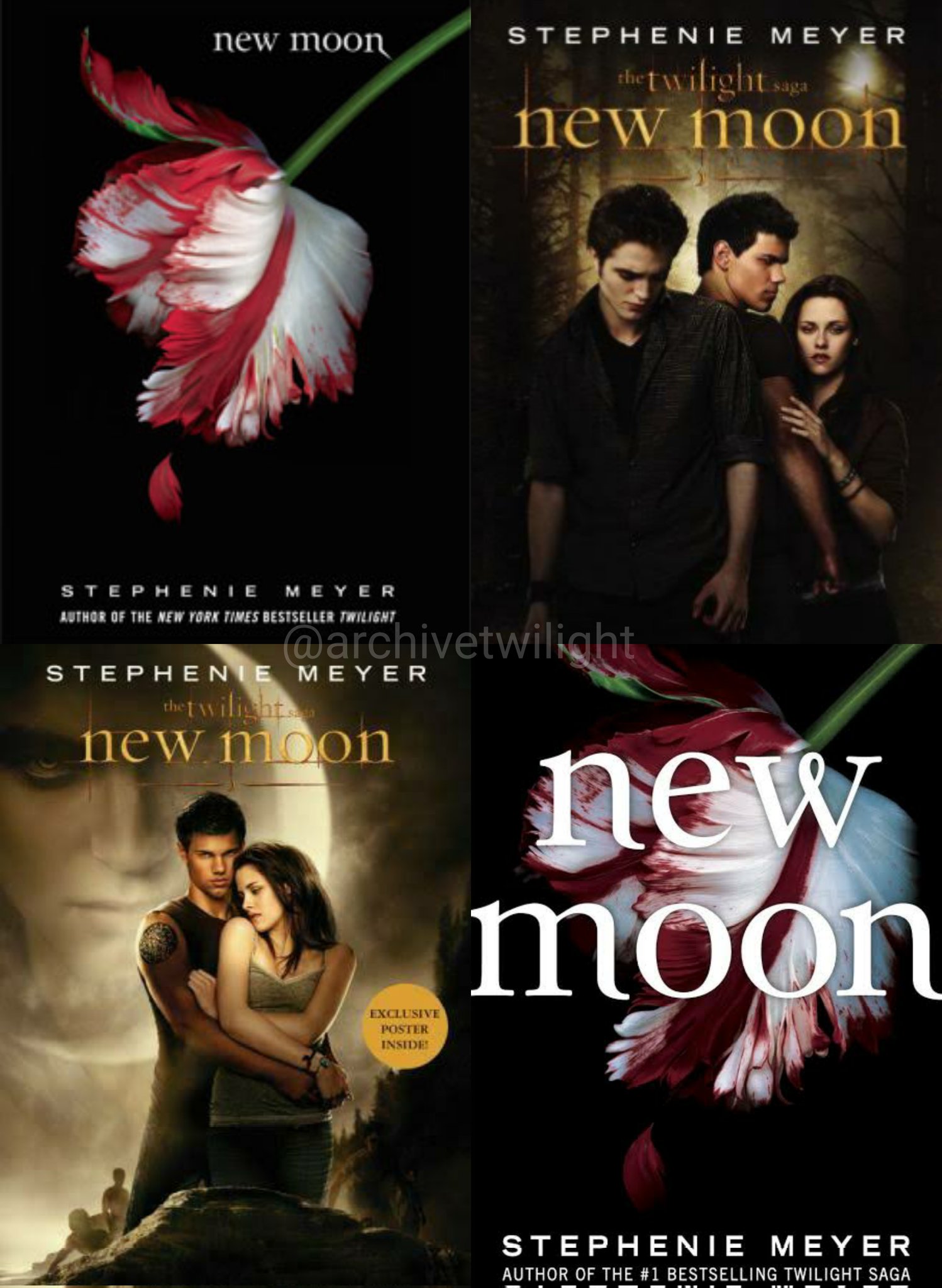 The Twilight Saga New Moon Poster