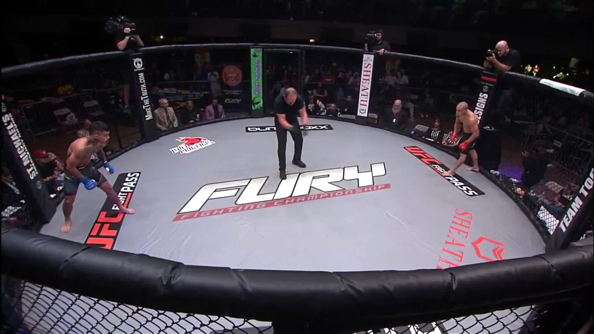 Ufc Fighting Cage