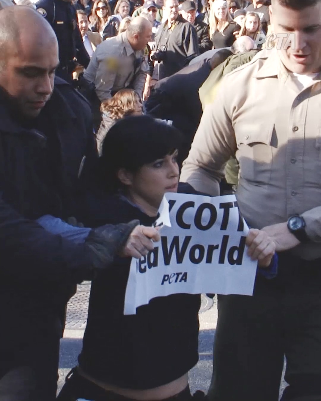 PETA on Twitter: "It’s our anniversary! For the last 42 years, we’ve been relentless in showing ...