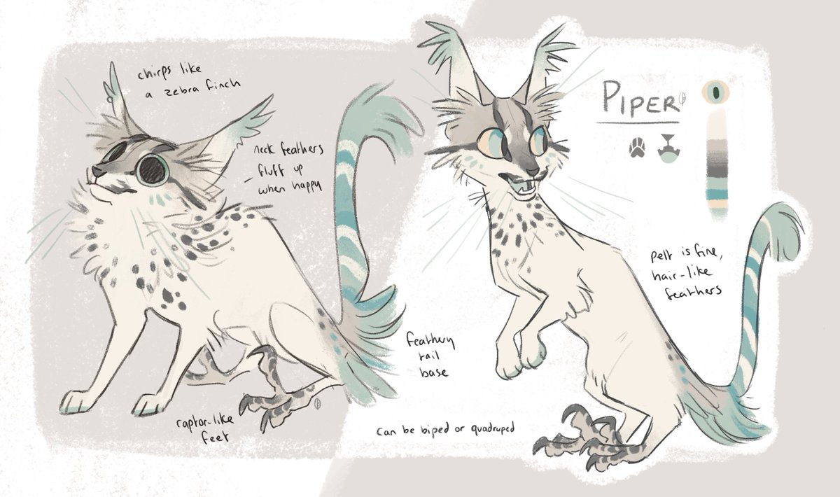 「nn full ref here 」|Finchの漫画