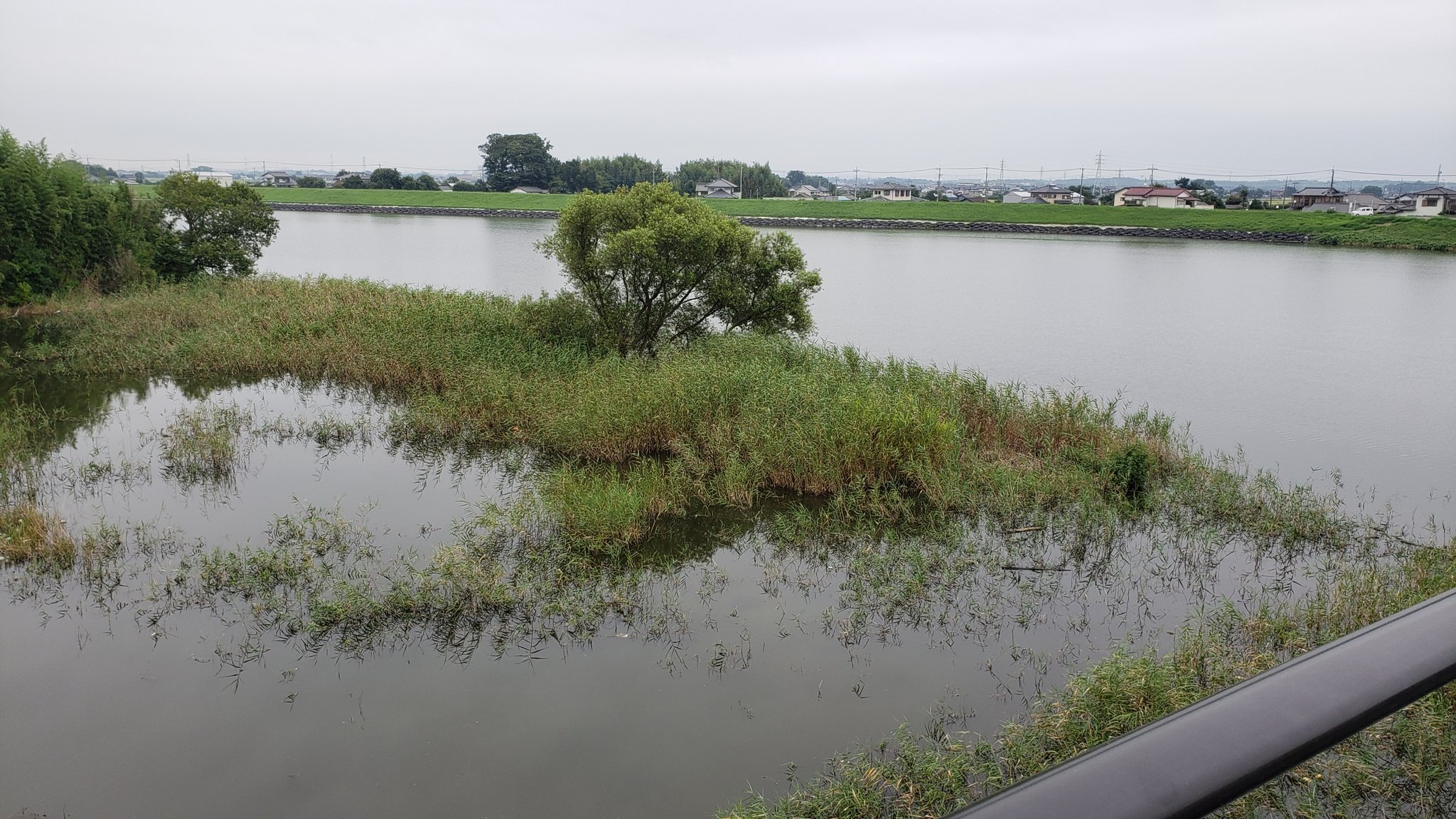 project.bicky on Twitter: "おはようございます🐱 今日は二度寝してのんびりグラベルフィッシングに来てます🚴‍♂️💨 涼しいのでのんびり楽しみたいと思います🎶 ...