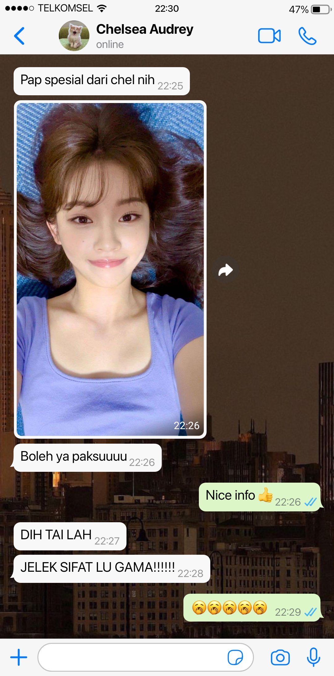 shane on Twitter: "— 237. https://t.co/q3Hl4f8E4T" / Twitter