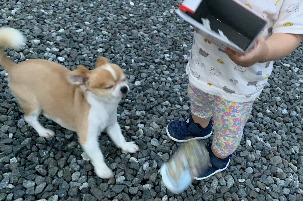 ไฮโซน้oJลูกxยี lll คuมีไฟ 🐈‍⬛🧸🎠 on Twitter: "RT @chiwarwar: