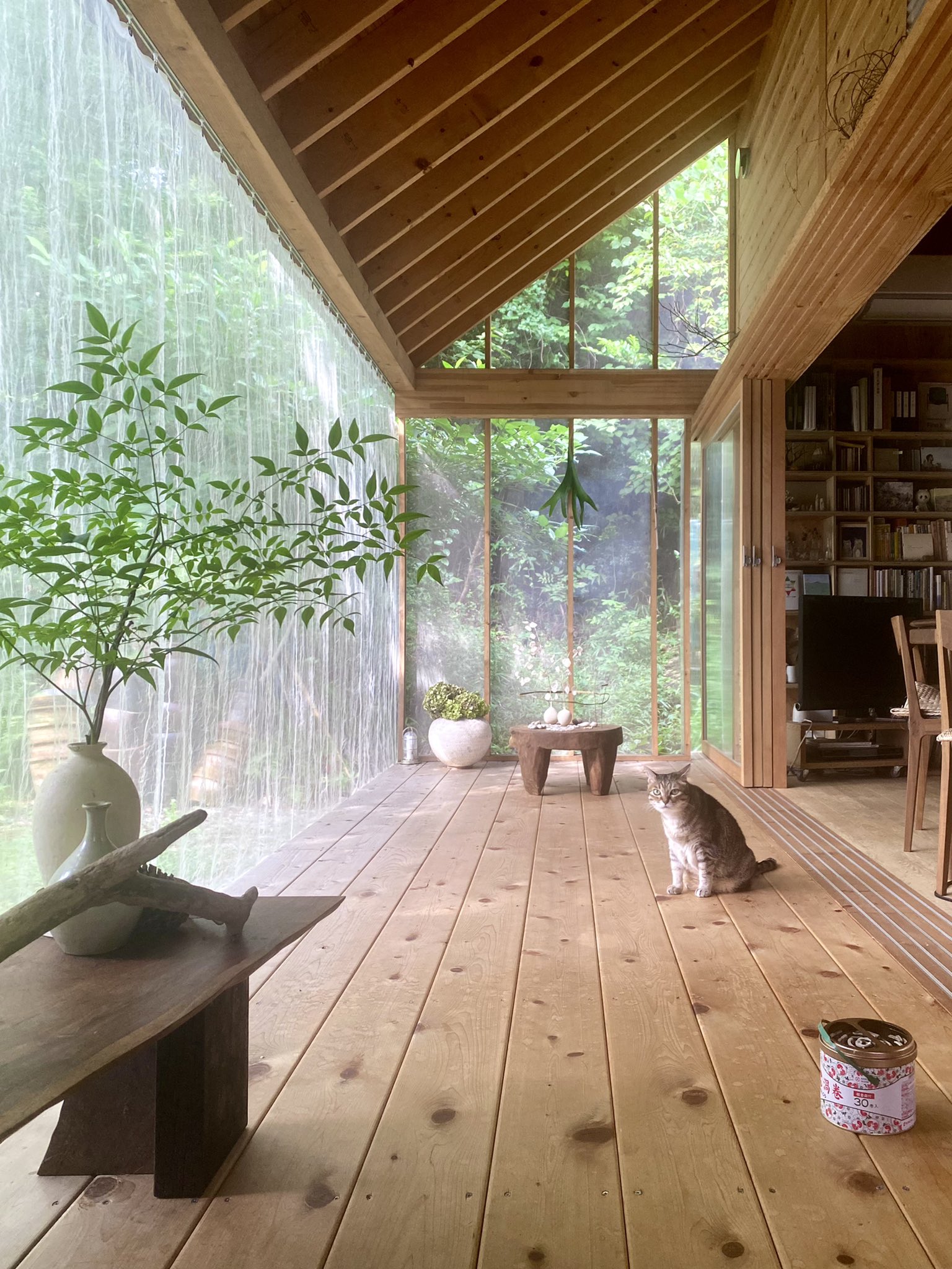 atsu_sasa on Twitter: "久しぶりに晴れた https://t.co/uMCIVK5mR4" / Twitter