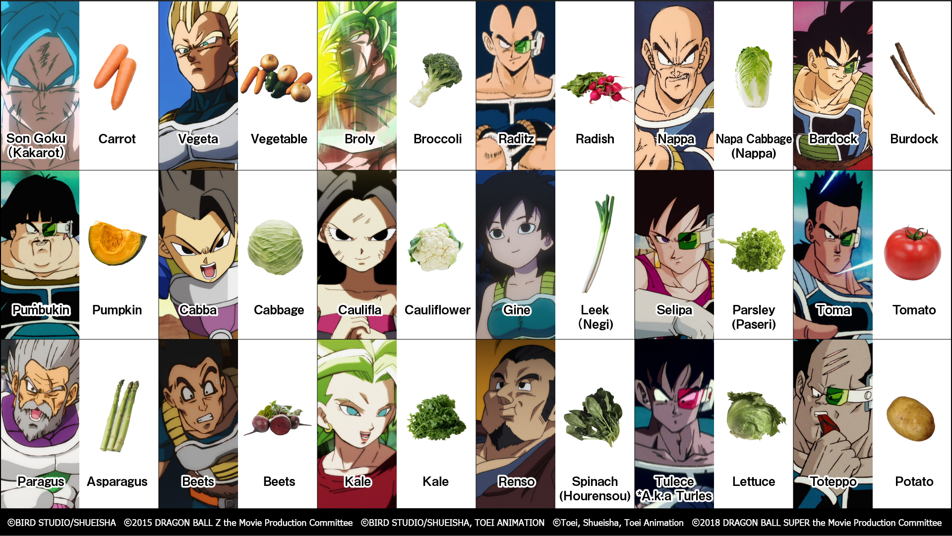 Dragon Ball Z Personagesnamen The First 24 Characters Of The DRAGON