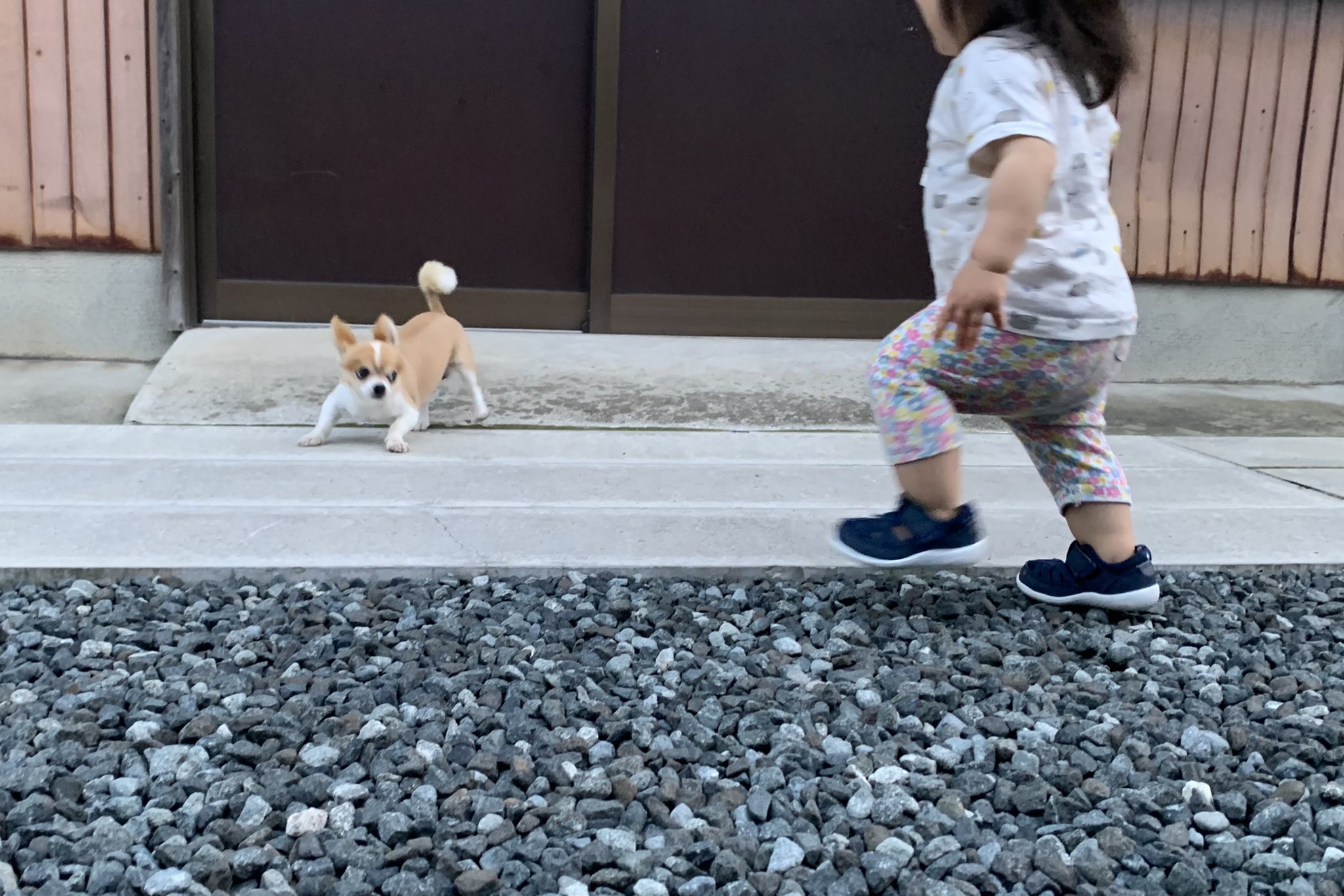 (32) on Twitter: "https://t.co/fo4Oiu7qIV" / Twitter