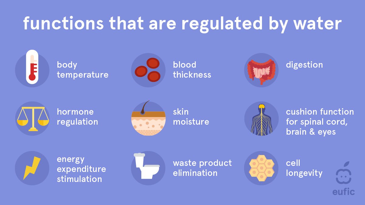 European Food Information Council (EUFIC) on Twitter: "Good #hydration is key for our health! 🥤 ...
