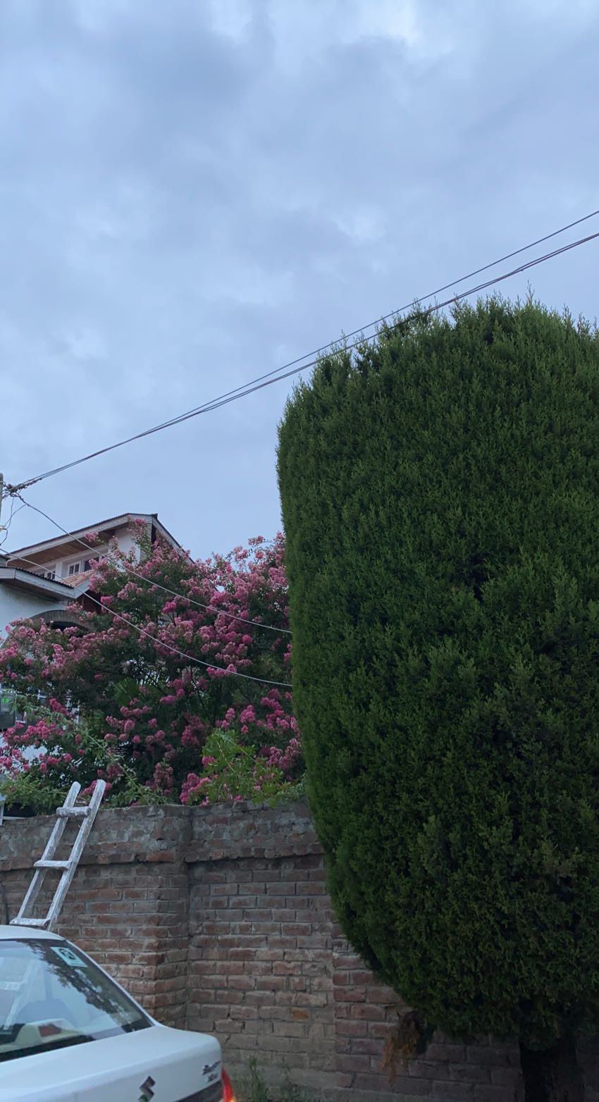 Midhat. (@tacotta_) / Twitter