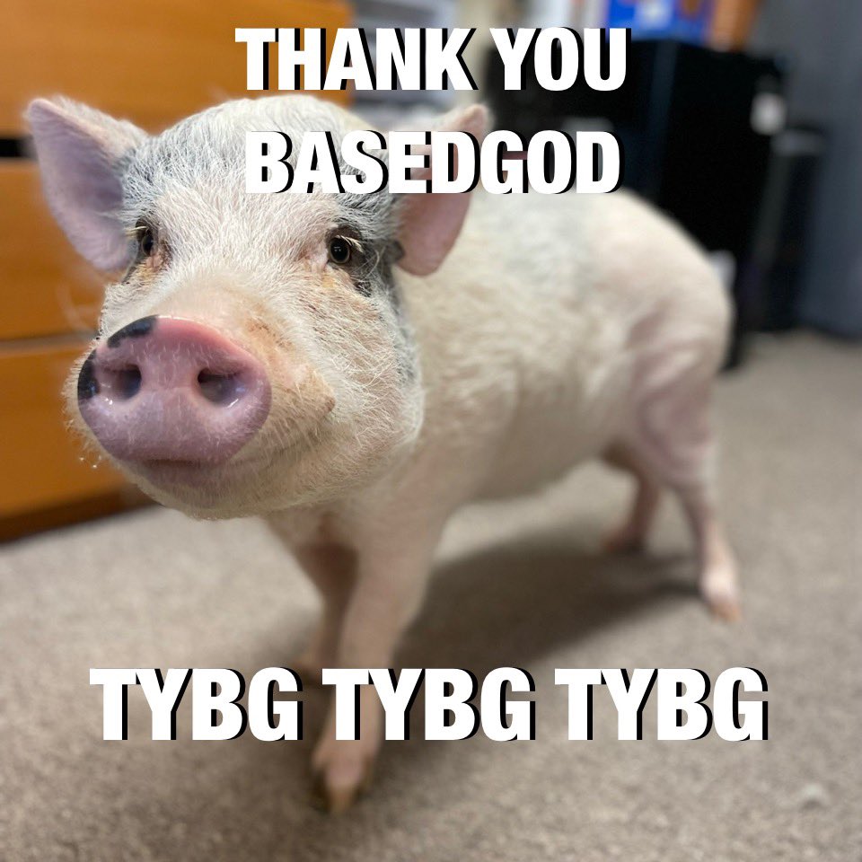 Funny Lil B Memes