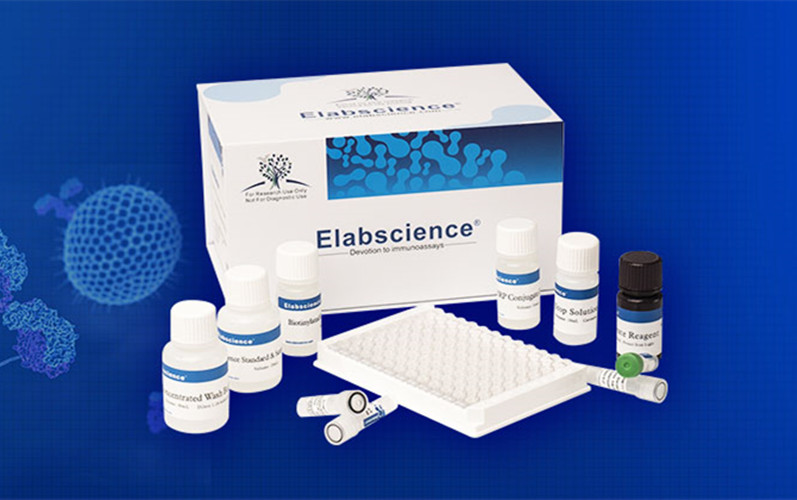 Elabscience on Twitter: "Elabscience® products have been cited in nearly 8000 papers published ...