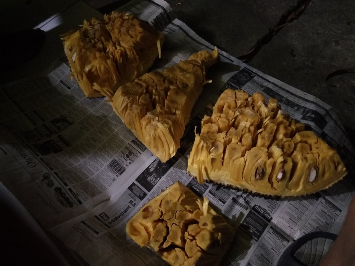 panen nongko arr @awpnya