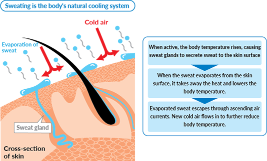 Evaporative Cooling Sweat