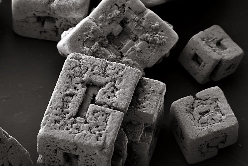 Images Under An Electron Microscope