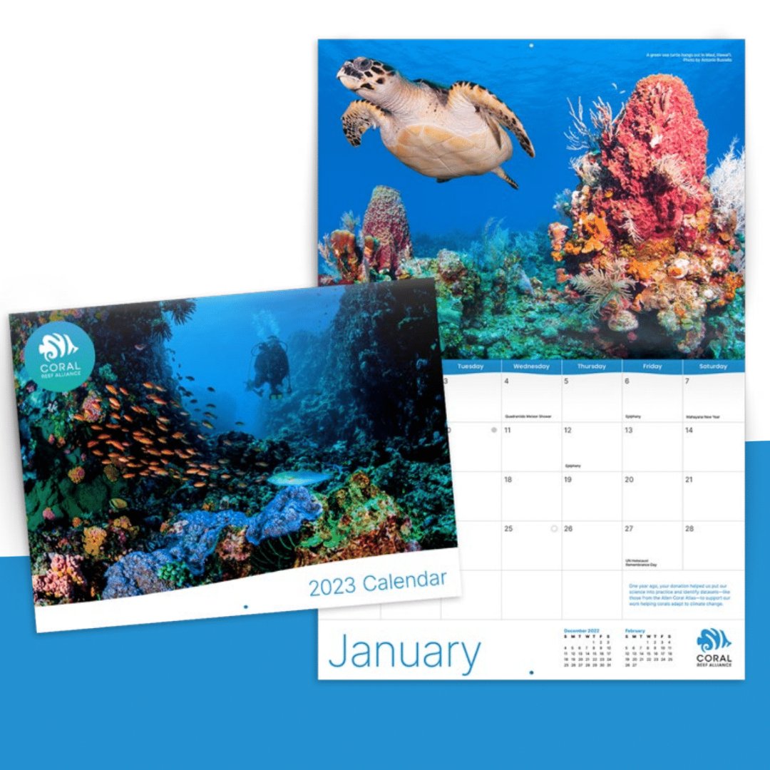 Reef Calendar 2023