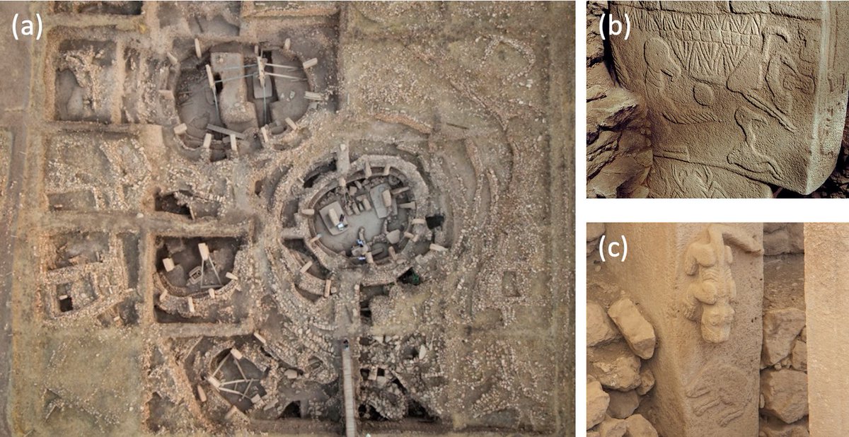 1. Over the weekend I took 1st place in Scott Alexander's anonymous ...