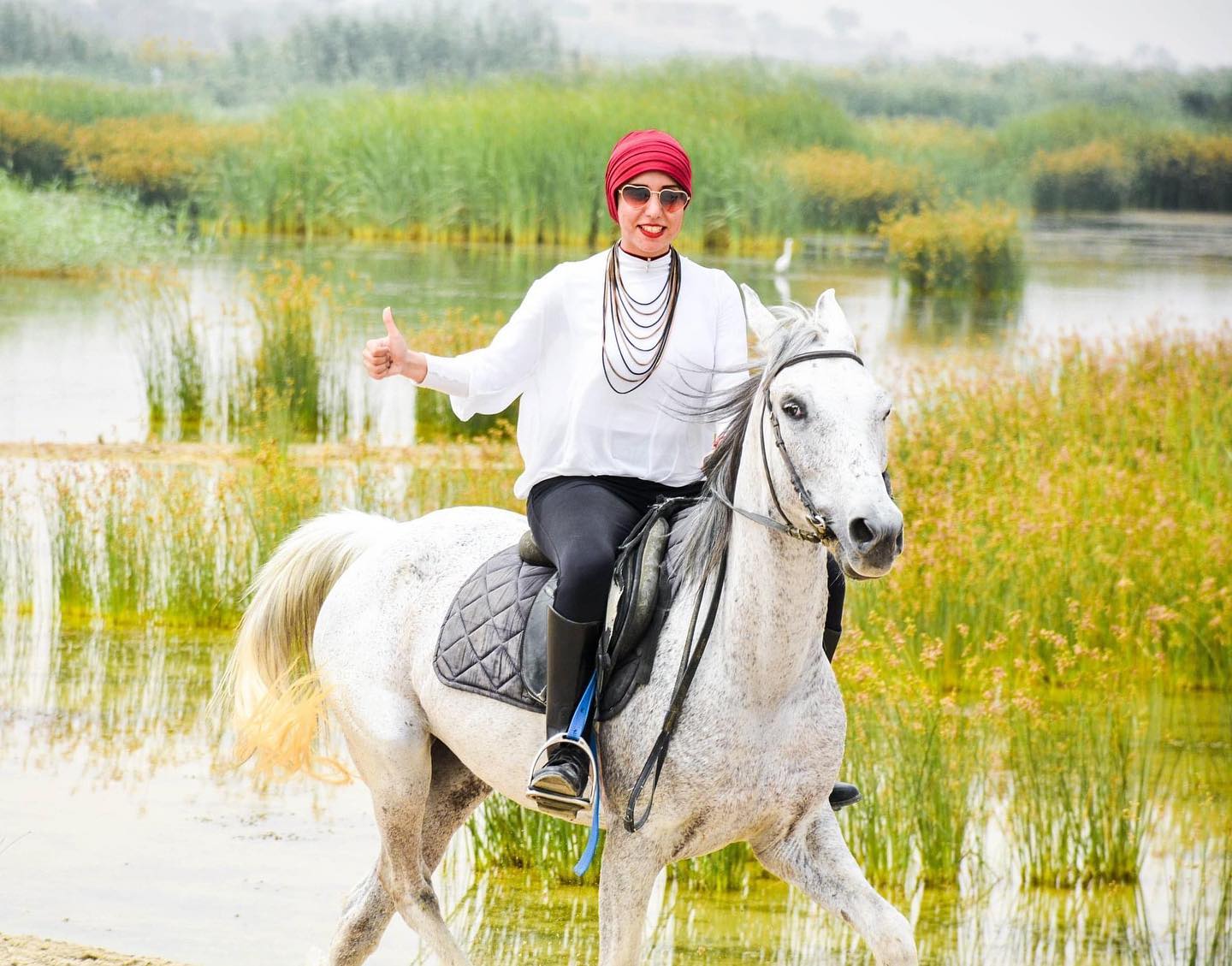 iRide Egypt (@iRideGSE) / Twitter