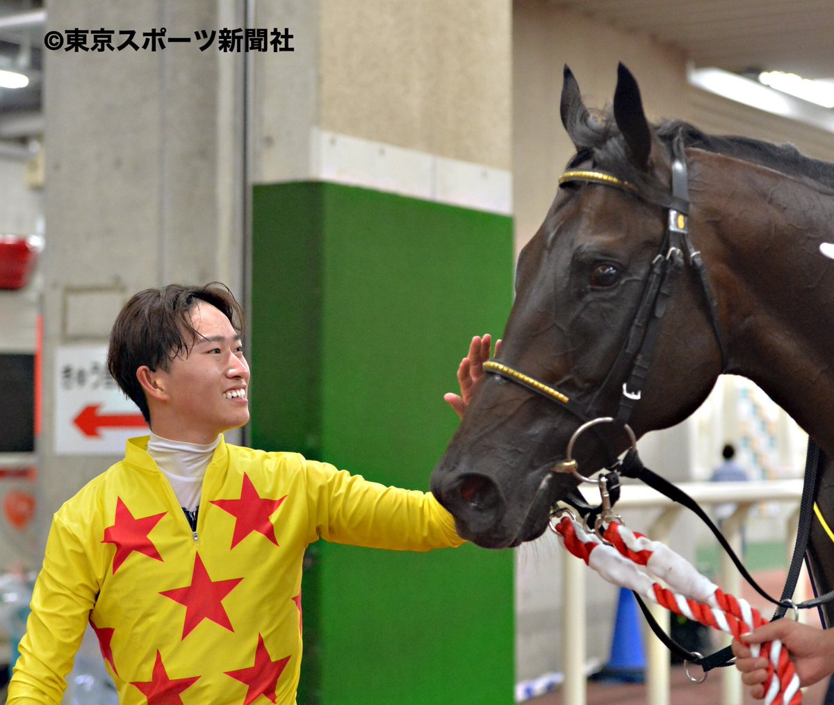 東スポ 写真部 on Twitter: "2022年9月4日 競馬 レース 11R #新潟記念 1着6番・ #カラテ（ #菅原明良 騎手） 新潟県新潟市・新潟競馬場 #トゥザグローリー × ...