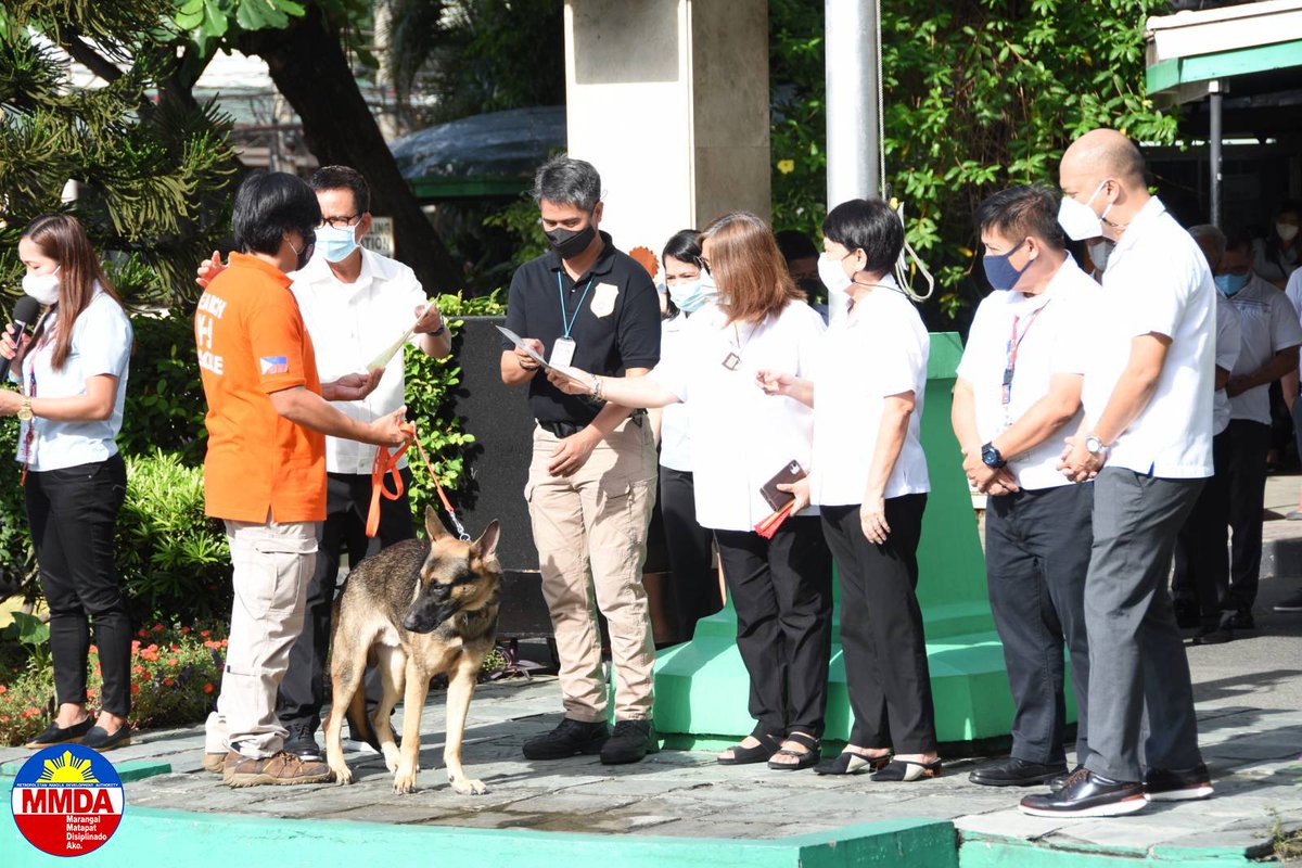 Official Muntinlupa On Twitter Tingnan Pagkilala Sa Mmda K 9 Corps