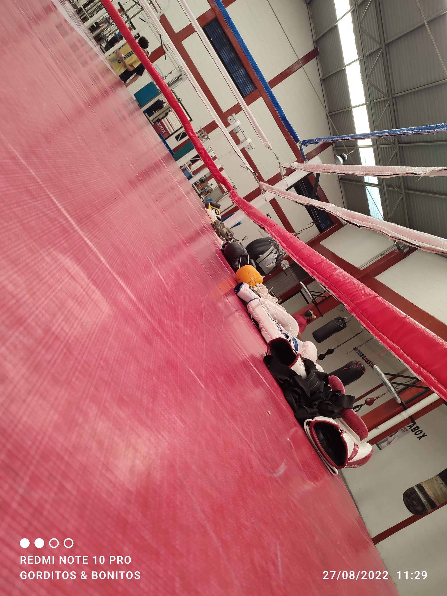 Edgar Brito (@EdgarBr09702995) / Twitter