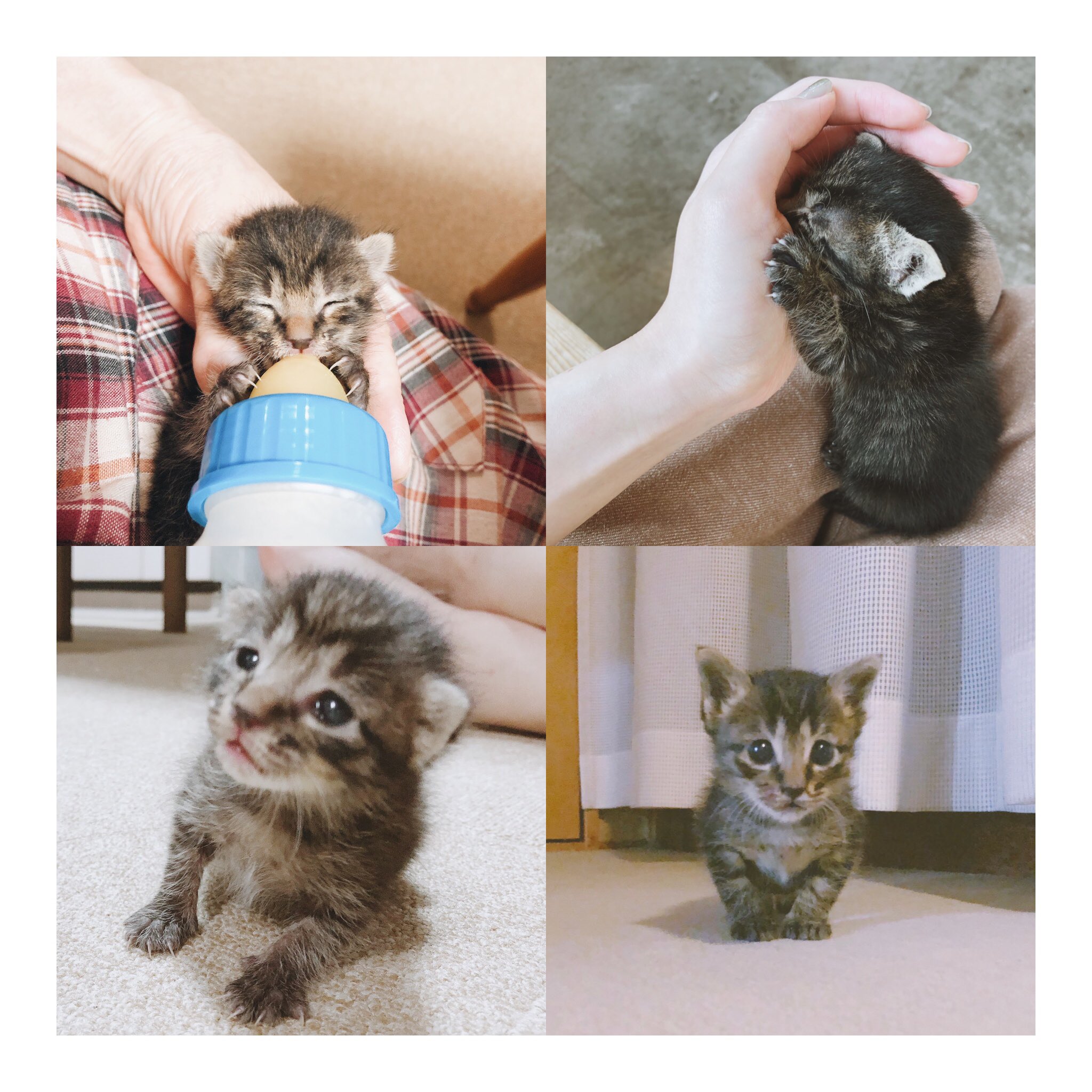 𝙇𝙊𝙉 (@nol_rtjk) / Twitter