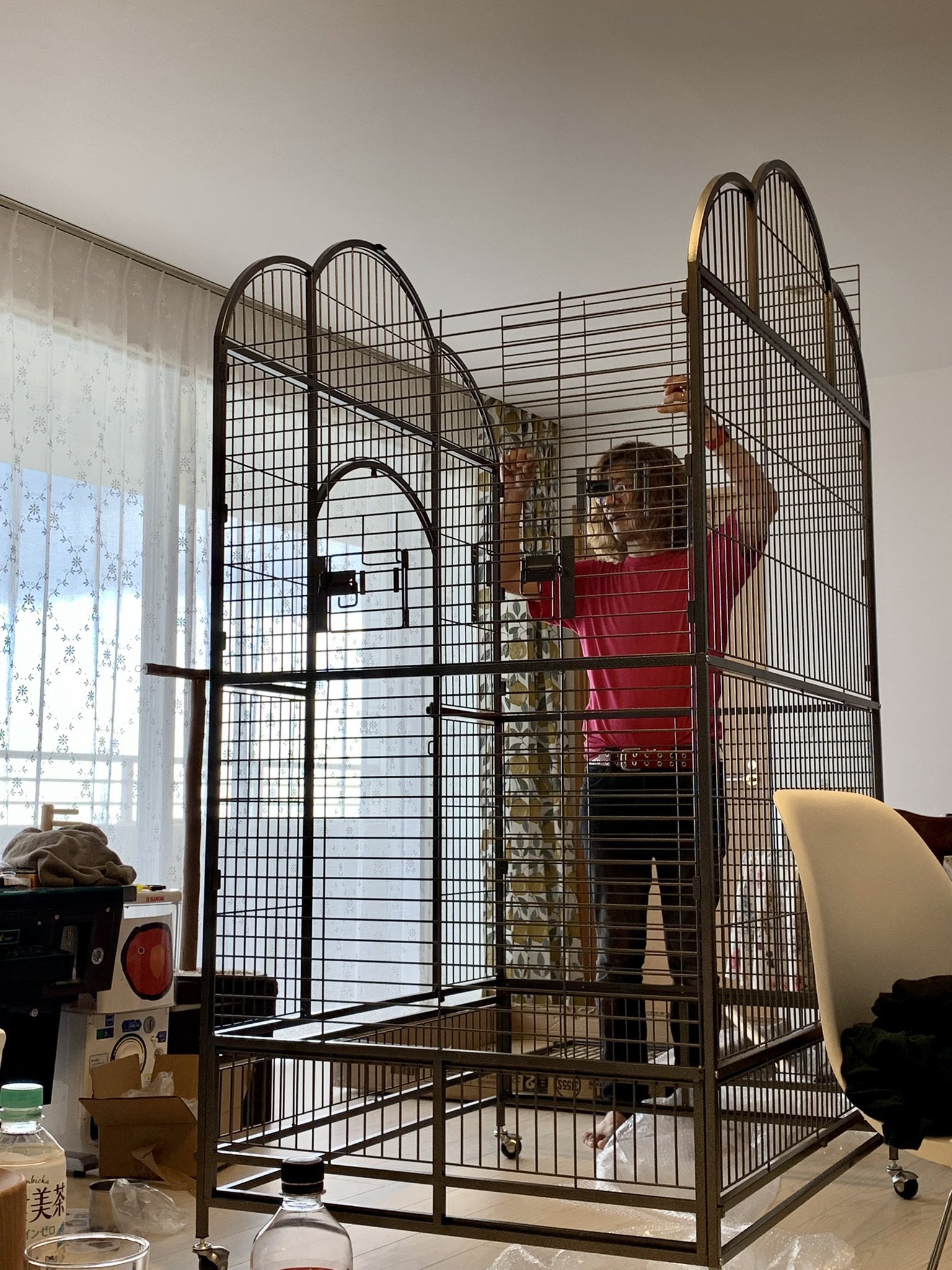 Hideaki Utsumi on Twitter: "Kiwi’s new home🥝 https://t.co/ZzBxbx8G3W @YouTube https://t.co ...