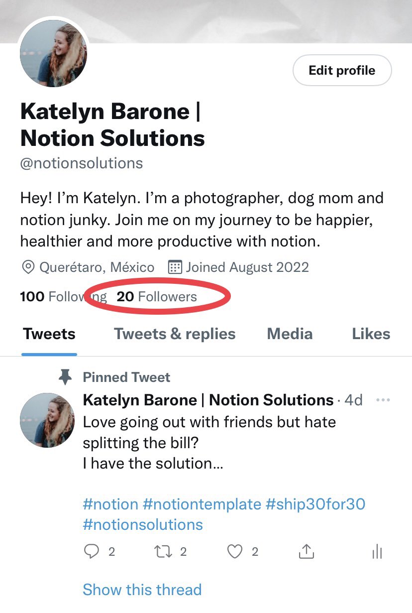 Katelyn Barone | Notion Solutions on Twitter: "20 followers in less than a week! Thank you to ...