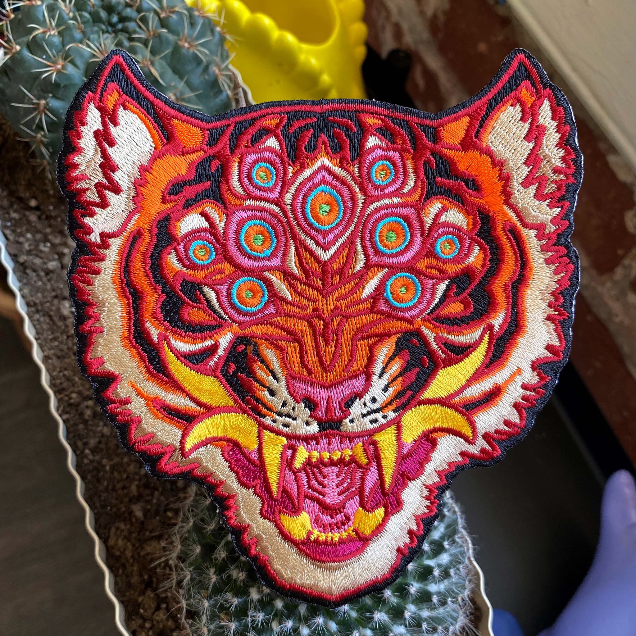 Hannah Comstock (@hannahorca) / Twitter