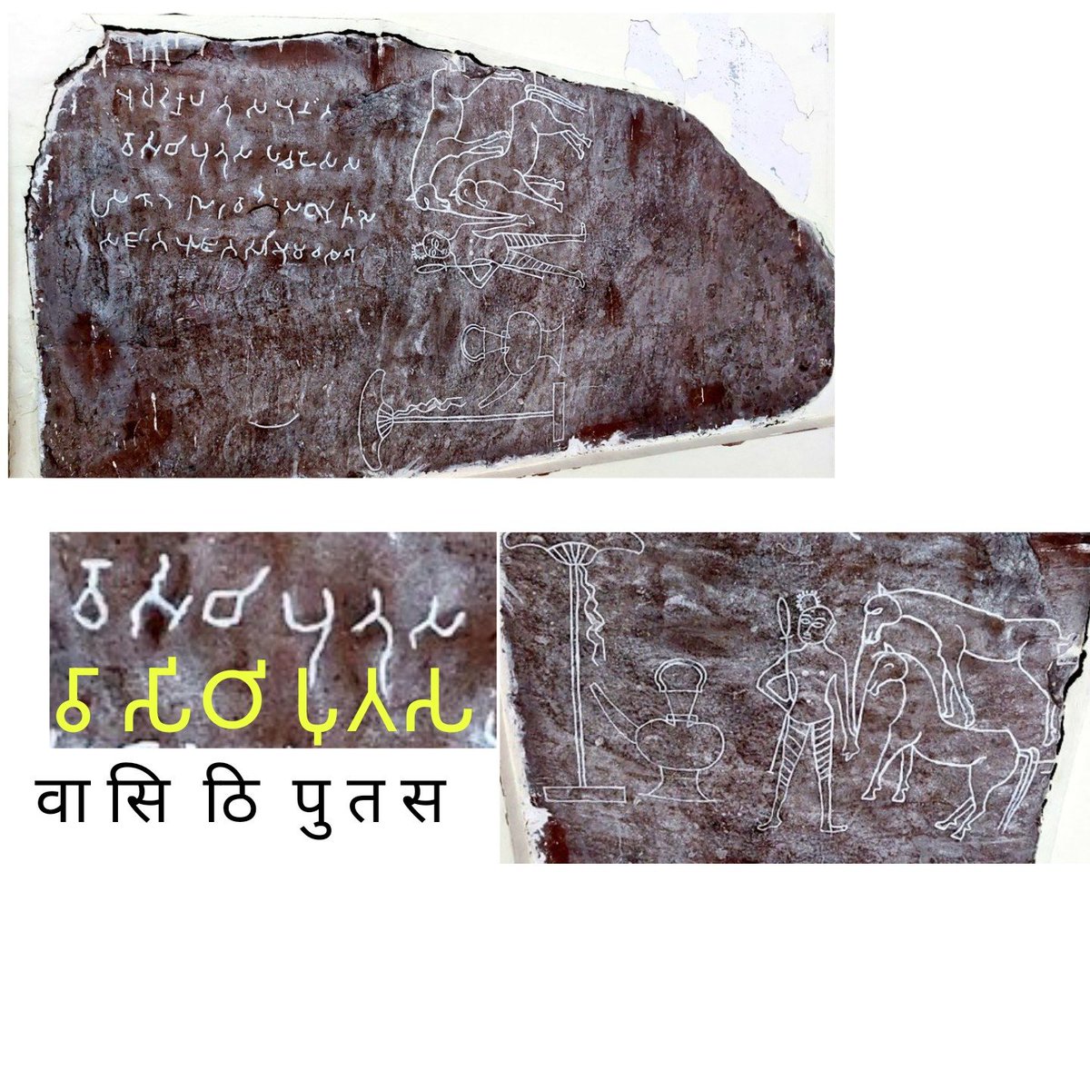 This is sick Shunga Inscriptions confirm that they performed Ashvamedha ...