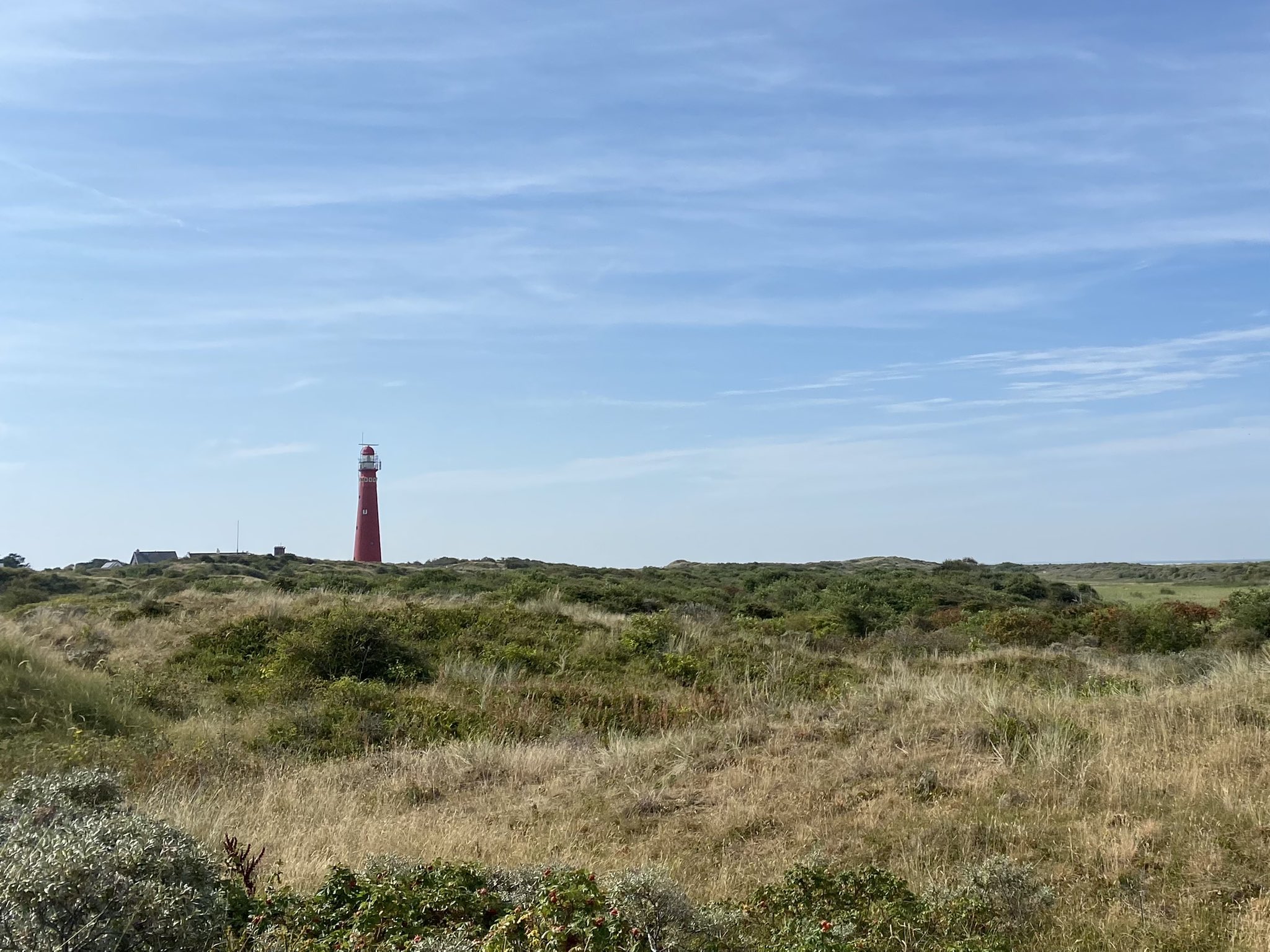 Dr Brenda Mathijssen on Twitter: Dr Brenda Mathijssen on Twitter: