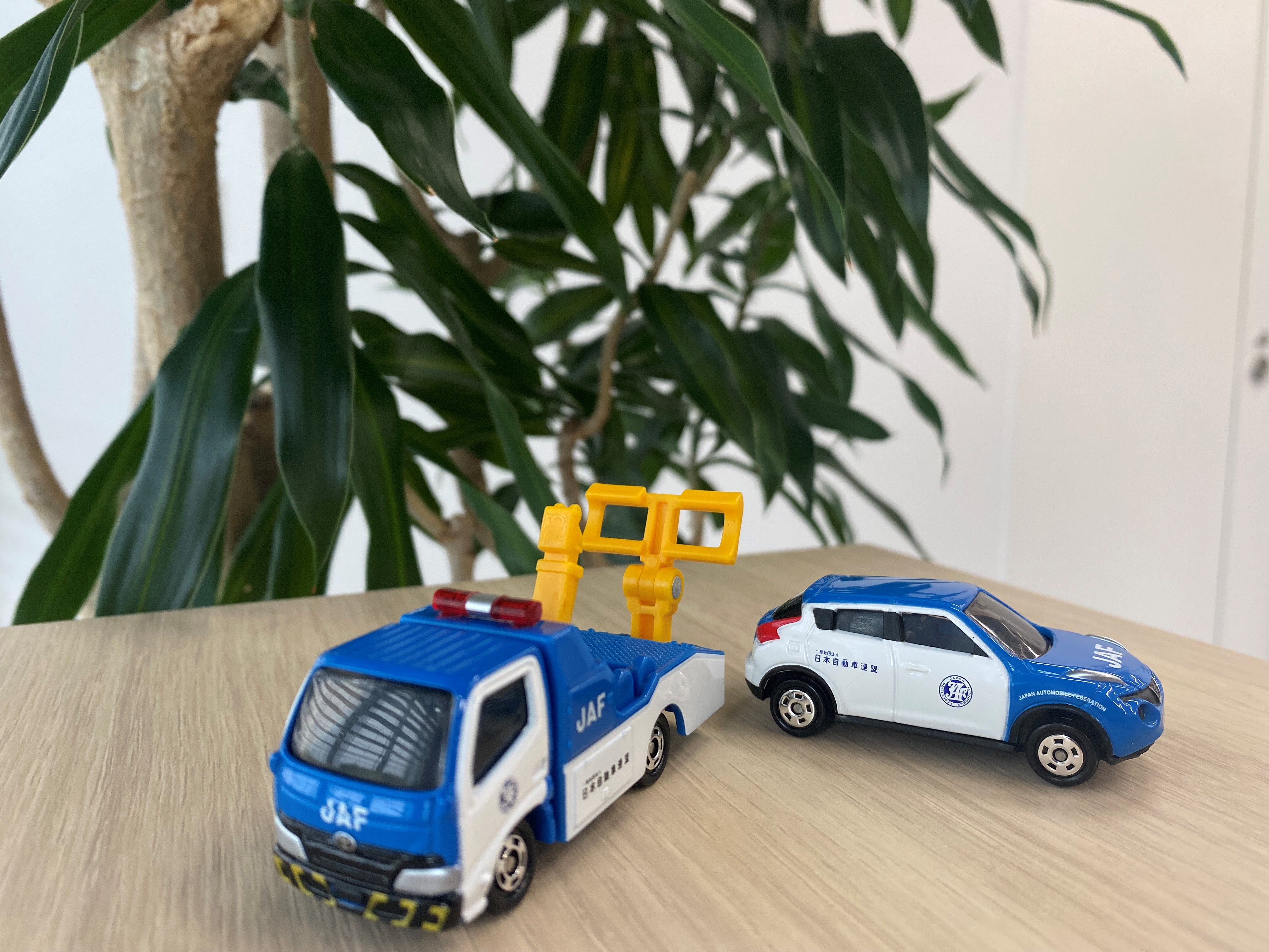 JAF_PLUS_Tokyo (@JAF_PLUS_Tokyo) / Twitter