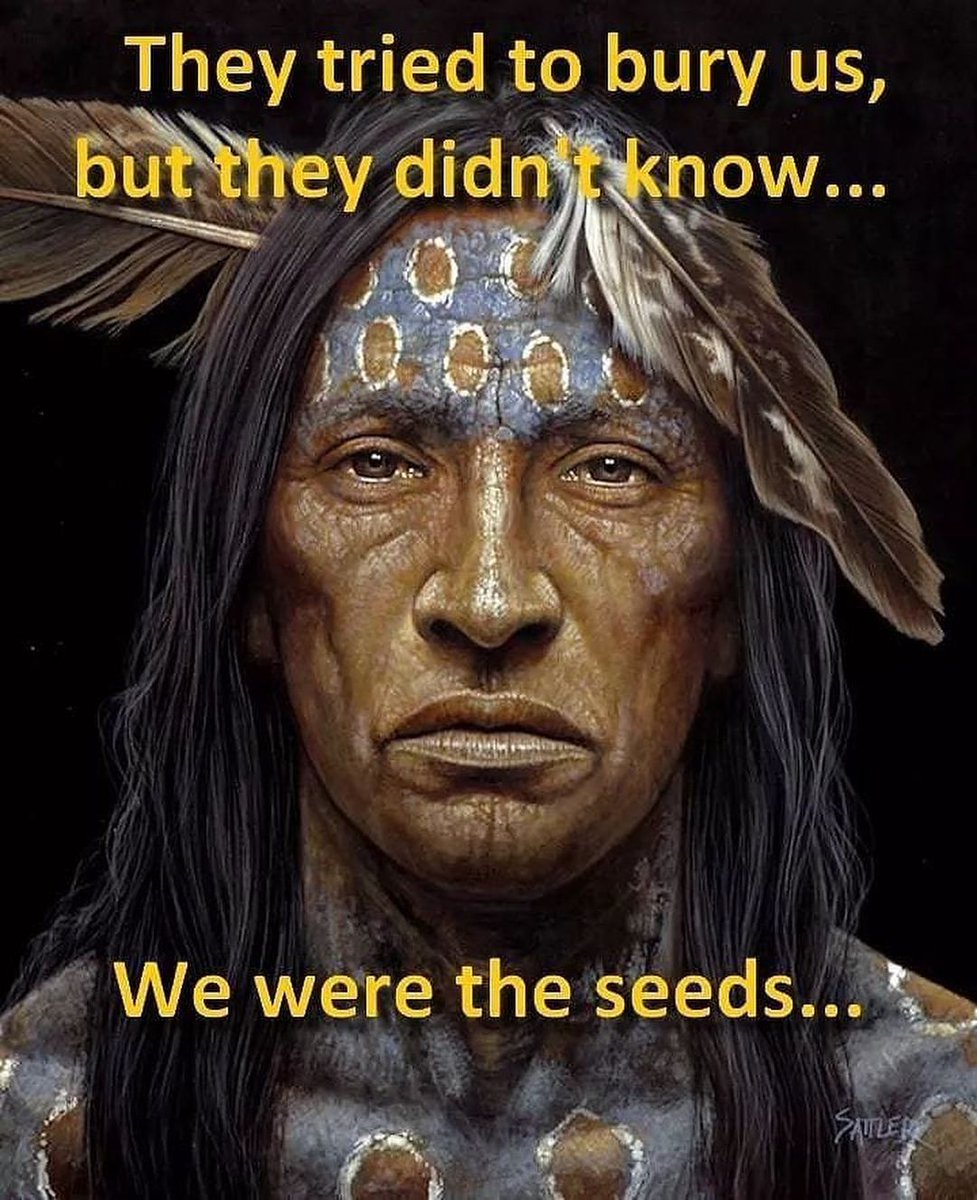 Native American Today馃嚭馃嚫 On Twitter If You Support Native Americans