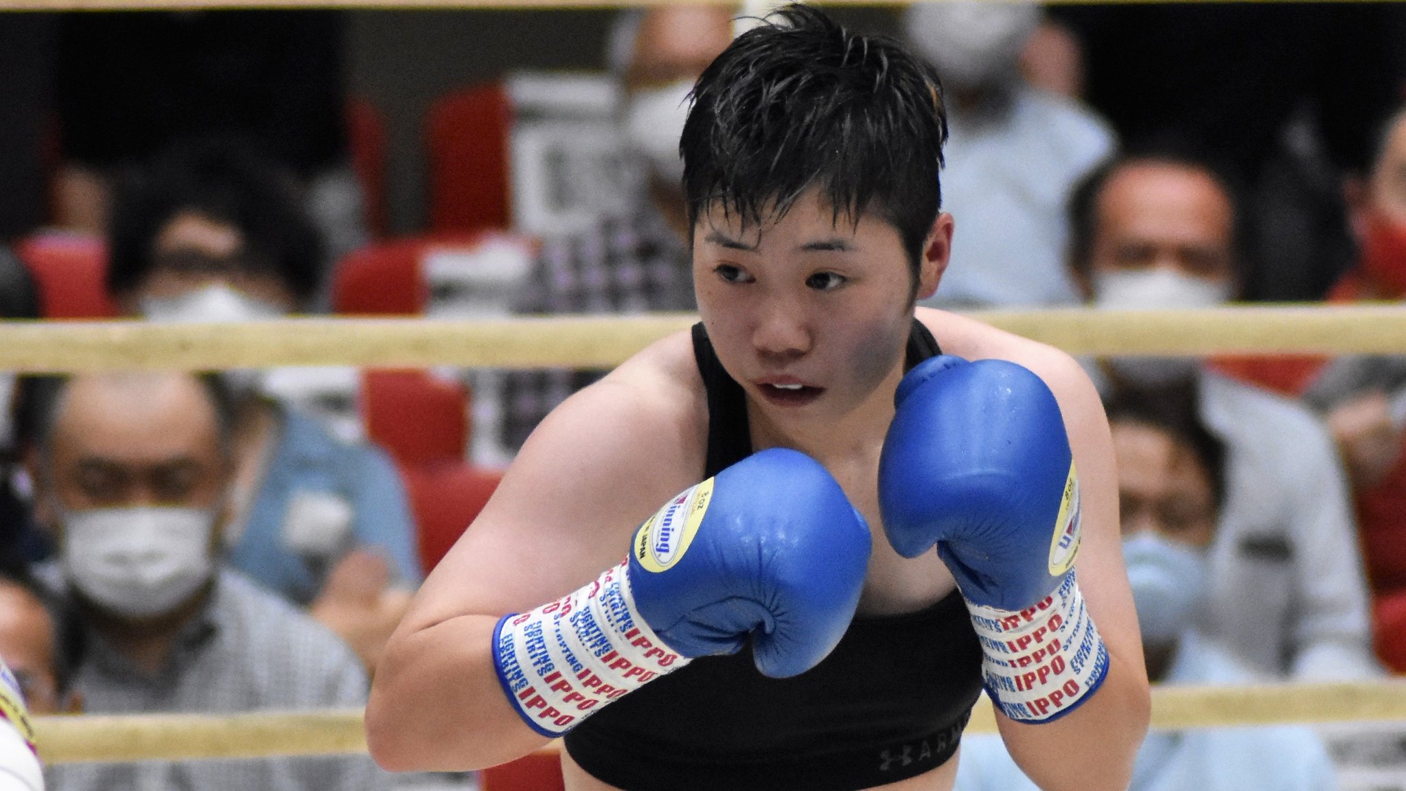 伊藤雅哉 on Twitter: "【9月注目カード】 1日＠後楽園 WBO-APアトム級TM #山中菫⑳(真正) #狩野ほのか㉗(オークラ) 3日＠大阪 WBO-APフライ級TM #加納陸㉔ ...