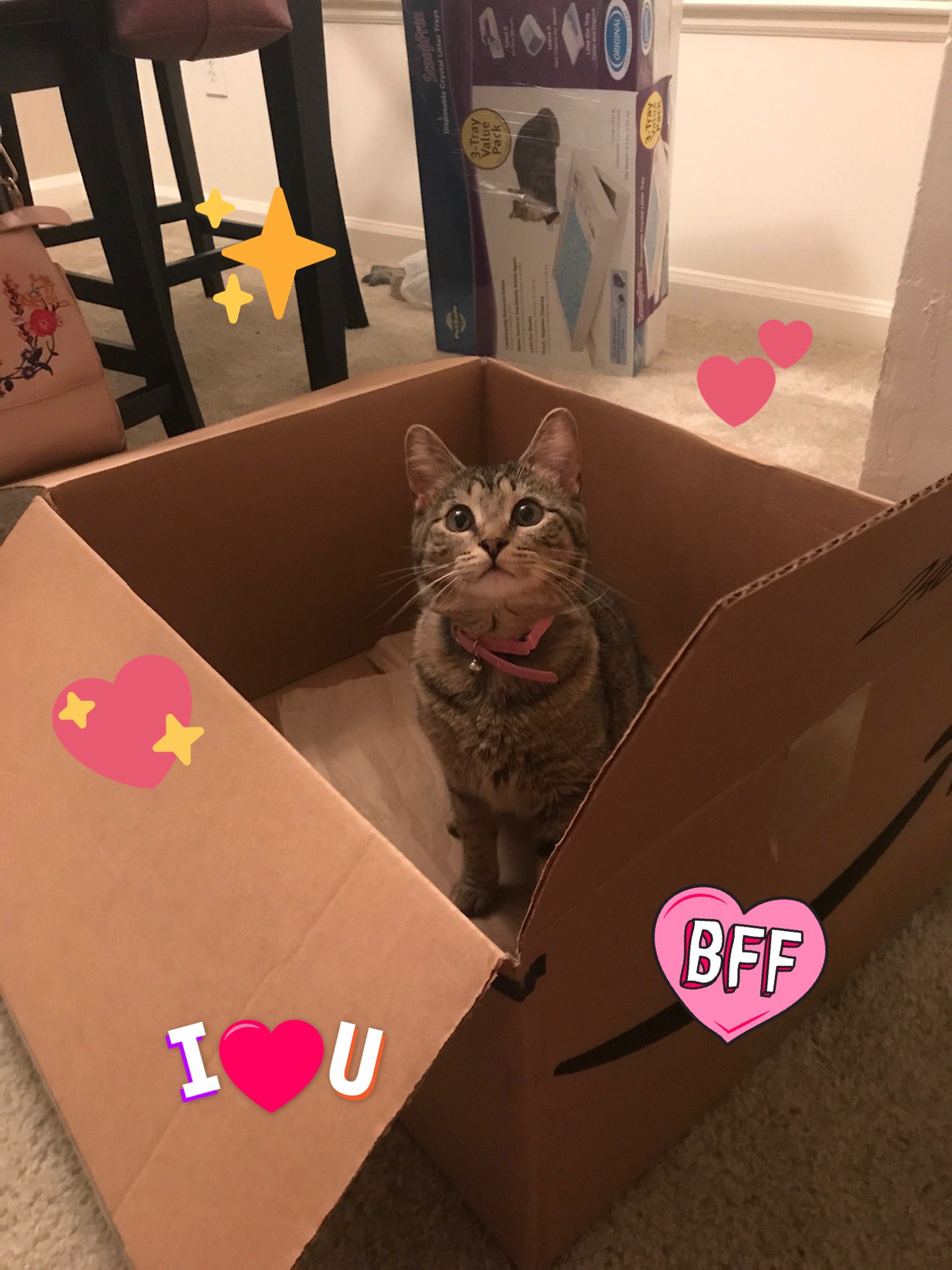 🧀Setzer🧀 🏳️‍⚧️🏳️‍🌈 (@LitolKittyBoye) / Twitter