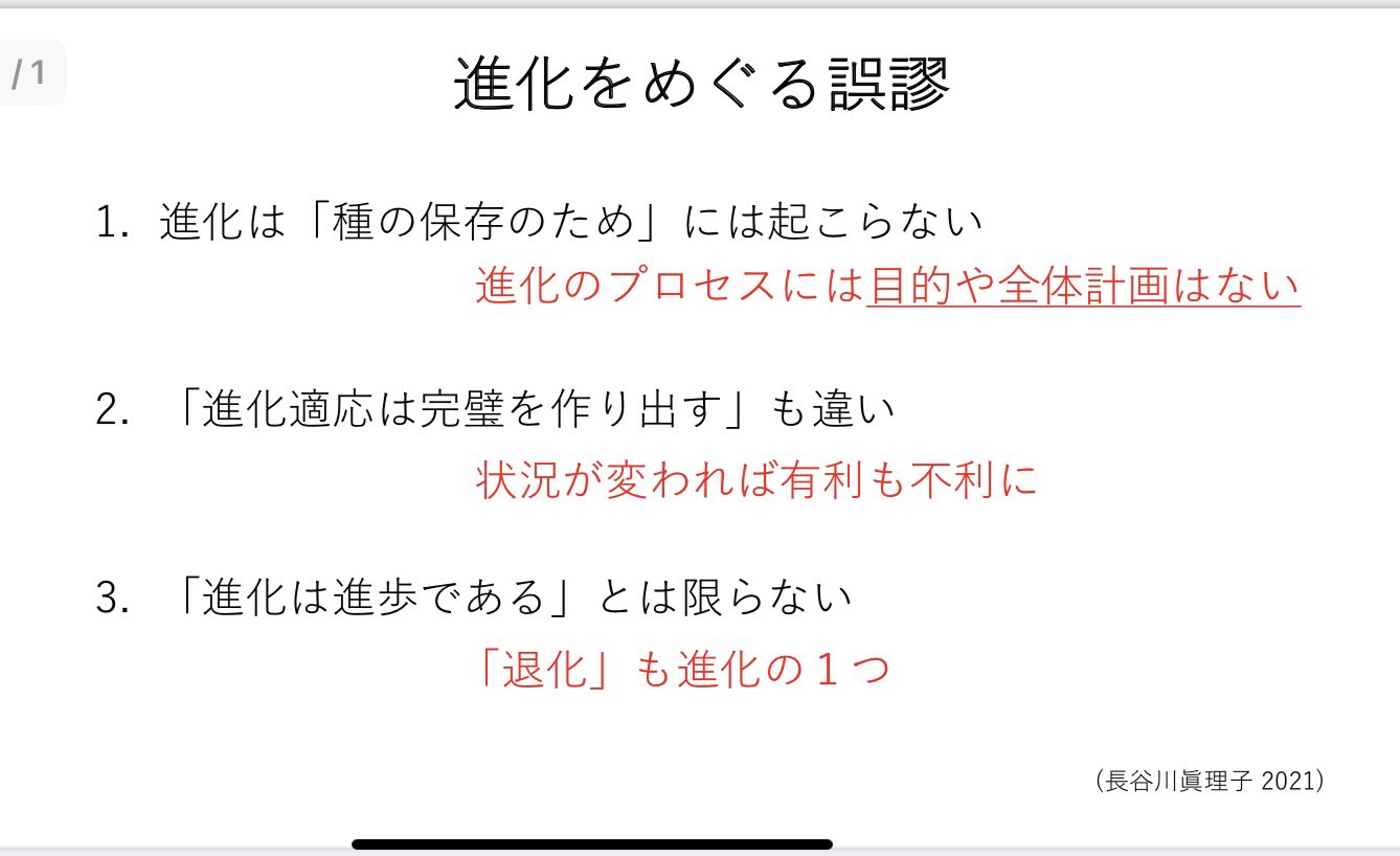 Kazuko Hase🐸🍁 on Twitter: "#生物進化 について誤解がまだまだ多いようなので、講義用に作ったスライドですが、進化機構のmy略図をご紹介します🐸🧬 進化は「突然変異 ...