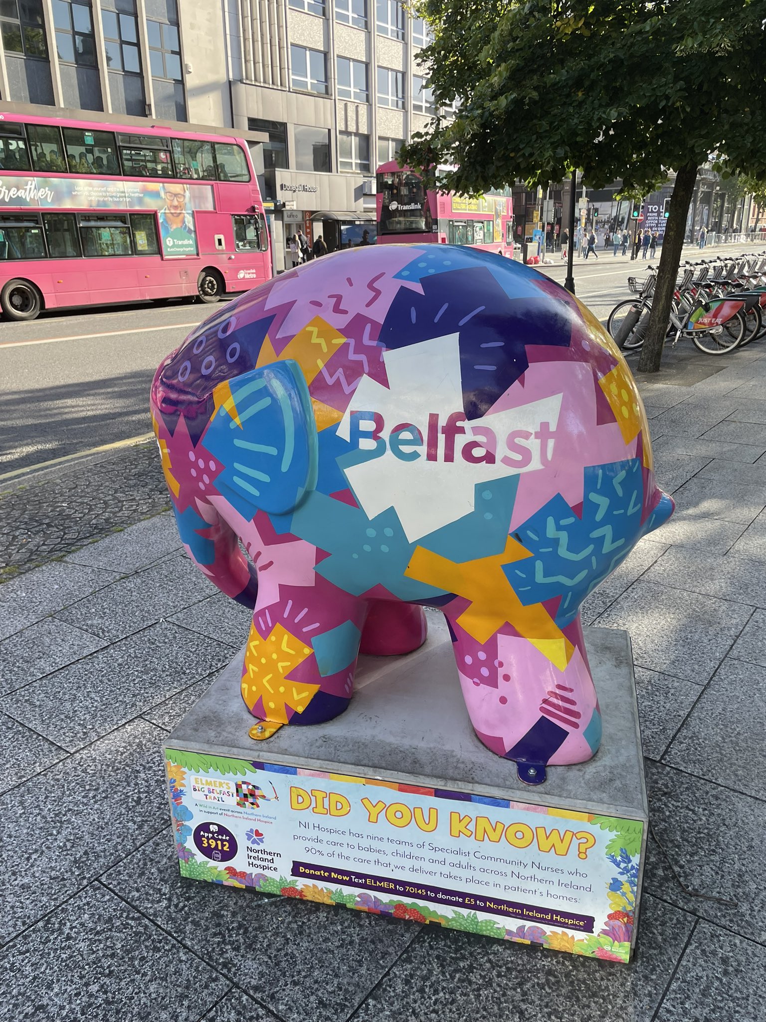 Stephen Black on Twitter: "Belfast. The home of pink buses and rainbow-coloured elephants 🐘 🌈 ...