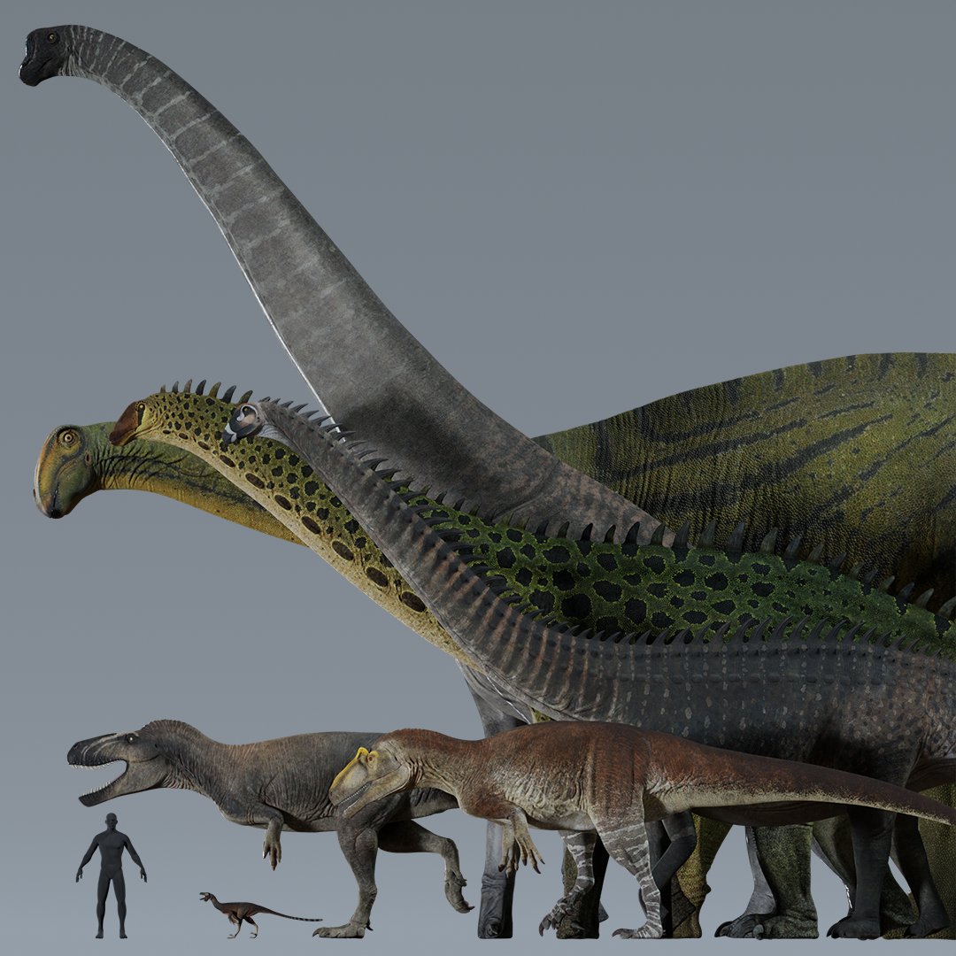 Allosaurus Vs Brachiosaurus