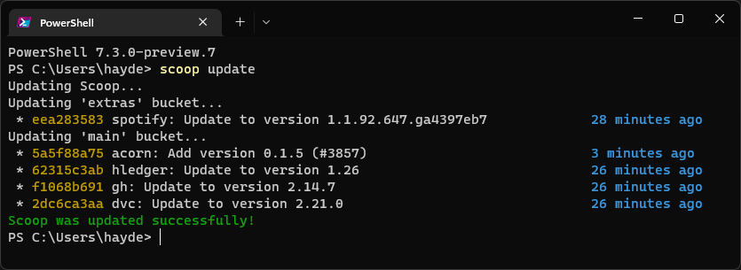 Hayden Barnes on Twitter: "The acorn CLI tool from @acornlabs, a simple application deployment ...