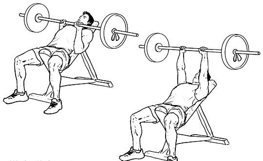 5 Simple Movements Guaranteed to Increase Your Bench Press: - المسلسل ...