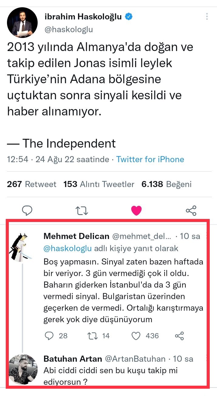 HANOGLU Hakan on Twitter: "Tweete degil kuşu takip edene guluyorum 🤣 https://t.co/BPUfTvKStm ...