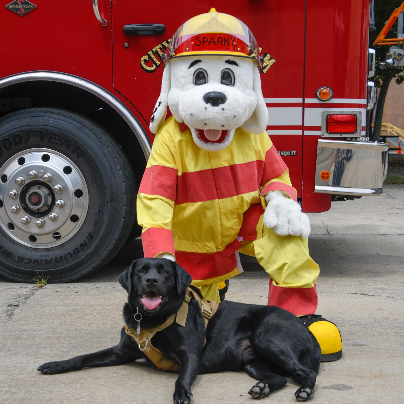 Are Dogs Used In Fire Fighting