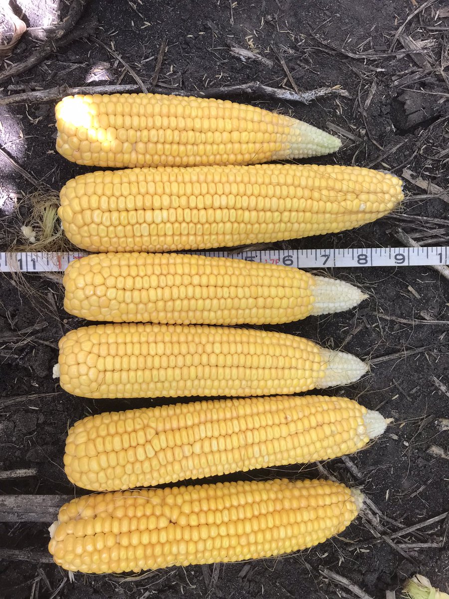 6 stops so far in Polk Co. in the Runnells, Mitchellville, and ...