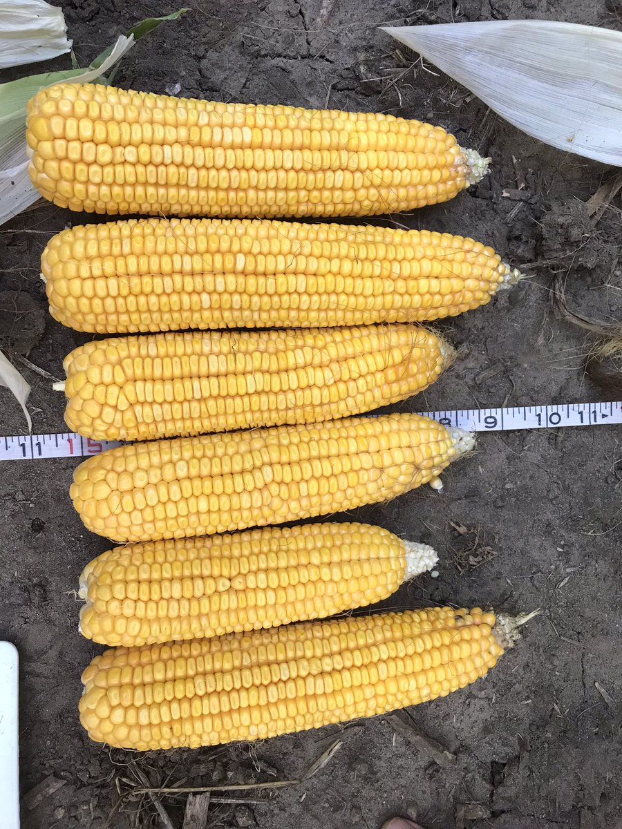 6 stops so far in Polk Co. in the Runnells, Mitchellville, and ...