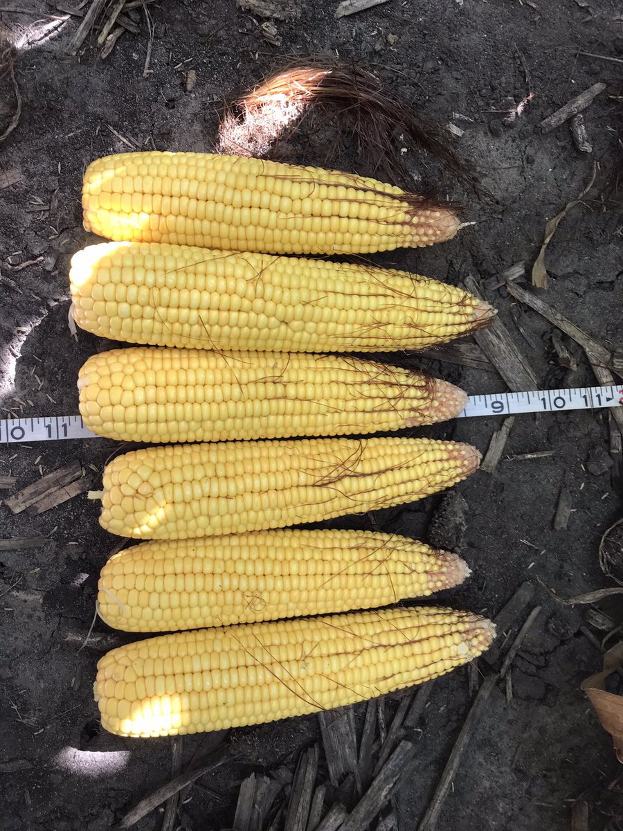 6 stops so far in Polk Co. in the Runnells, Mitchellville, and ...