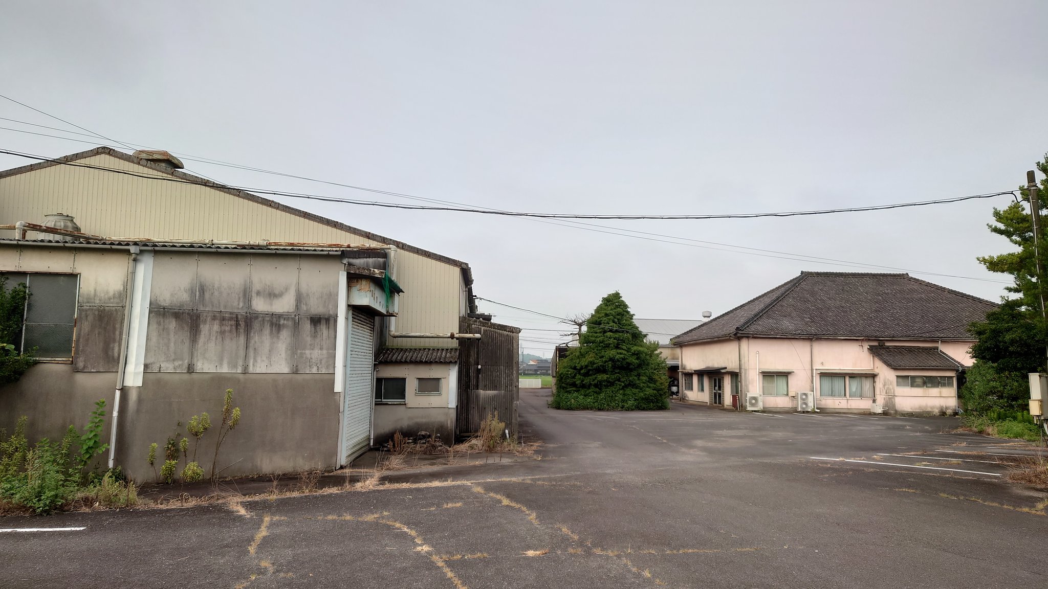 プログレの種[プログレおすすめ紹介] on Twitter: "おはようございます イギリスのRenaissanceが 2018年発売「A Symphonic Journey」 を聴こう 過去 ...