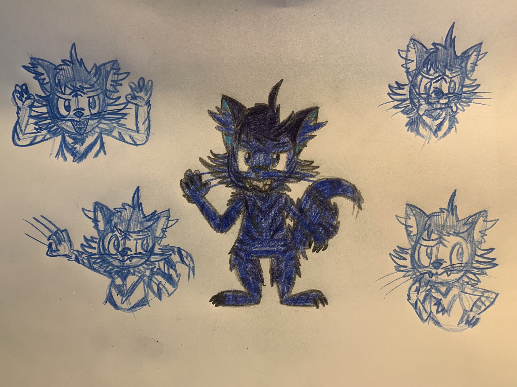 Werecat Drawings