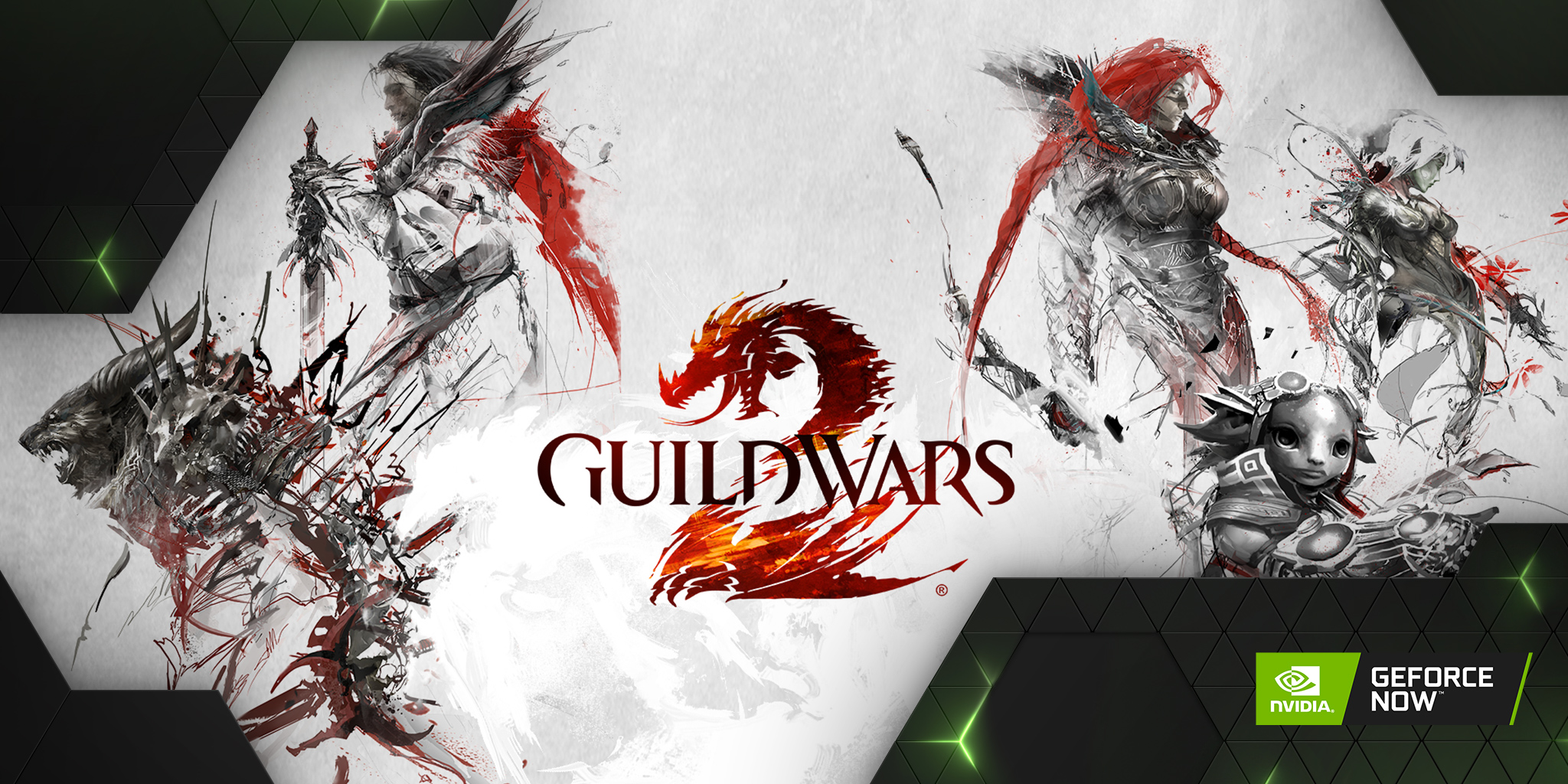 Guild Wars 2 on Twitter: "Jump into your #GuildWars2 Steam-edition adventure on any device ...