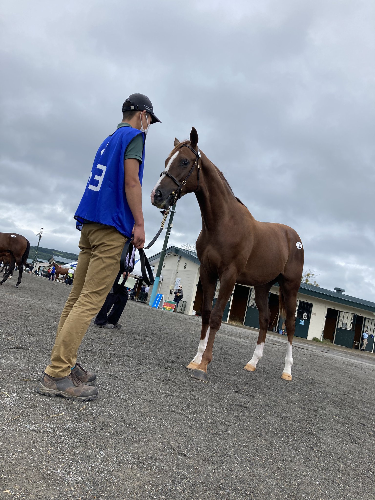 Ryosuke Fujisawa on Twitter: "展示よー https://t.co/PULTYAQ7mL" / Twitter