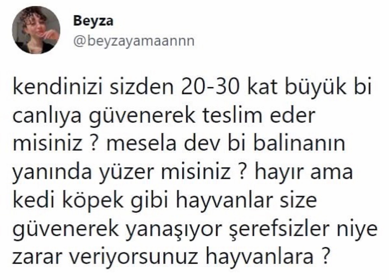 Alnı Öpülesi Tivitler on Twitter: Alnı Öpülesi Tivitler on Twitter: